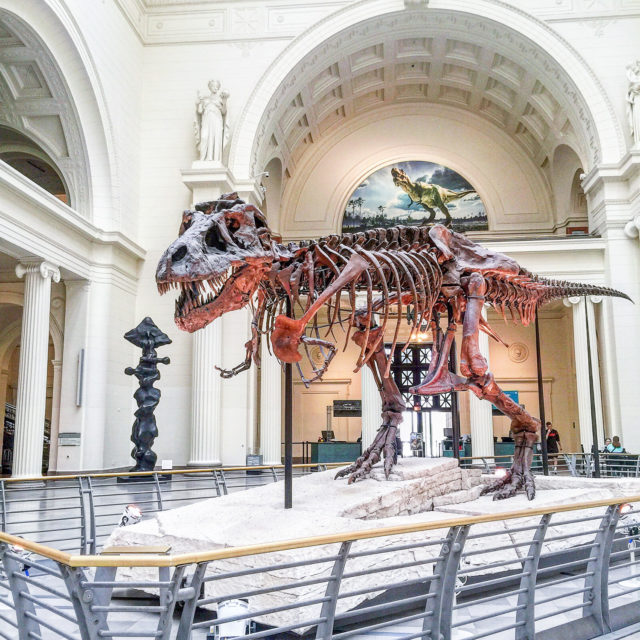Things to Do in the Loop - cityguidetochicago.com